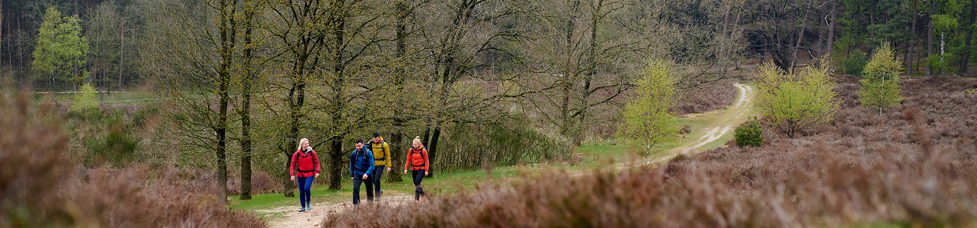 Home [regio.nkbv.nl]